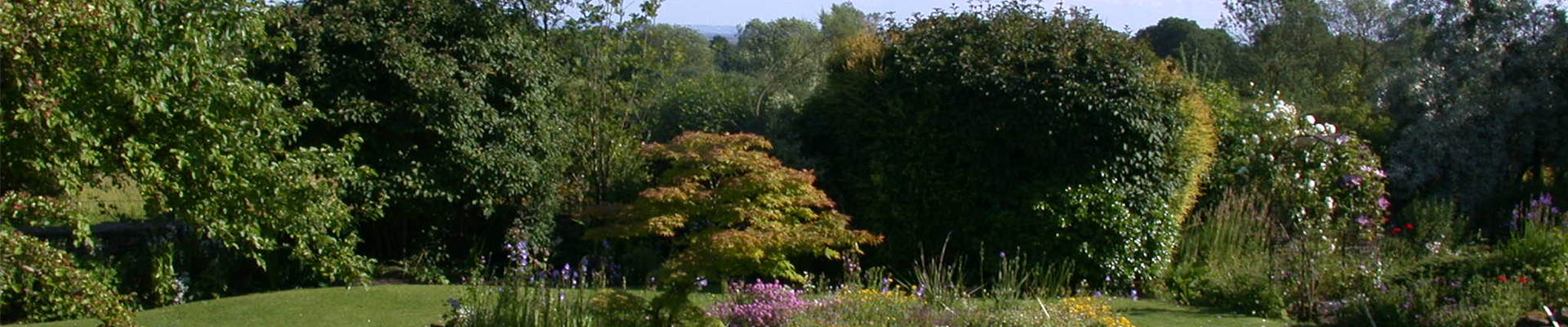 Lebendig Grün – einen Rasen anlegen und pflegen - Stanze Gartencenter ...